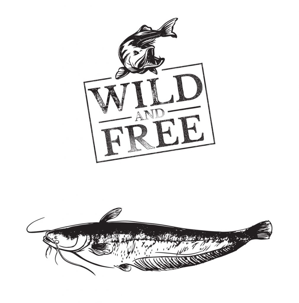 Wild and Free packaging design for fish | MAISON D'IDÉE